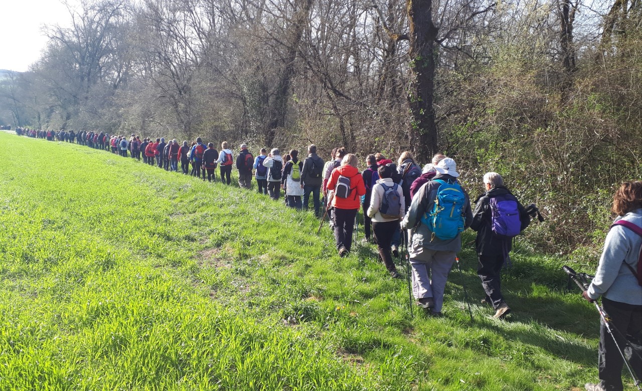 13° RANDO SOLIDAIRE le 16 AVRIL : Les Restos TARN